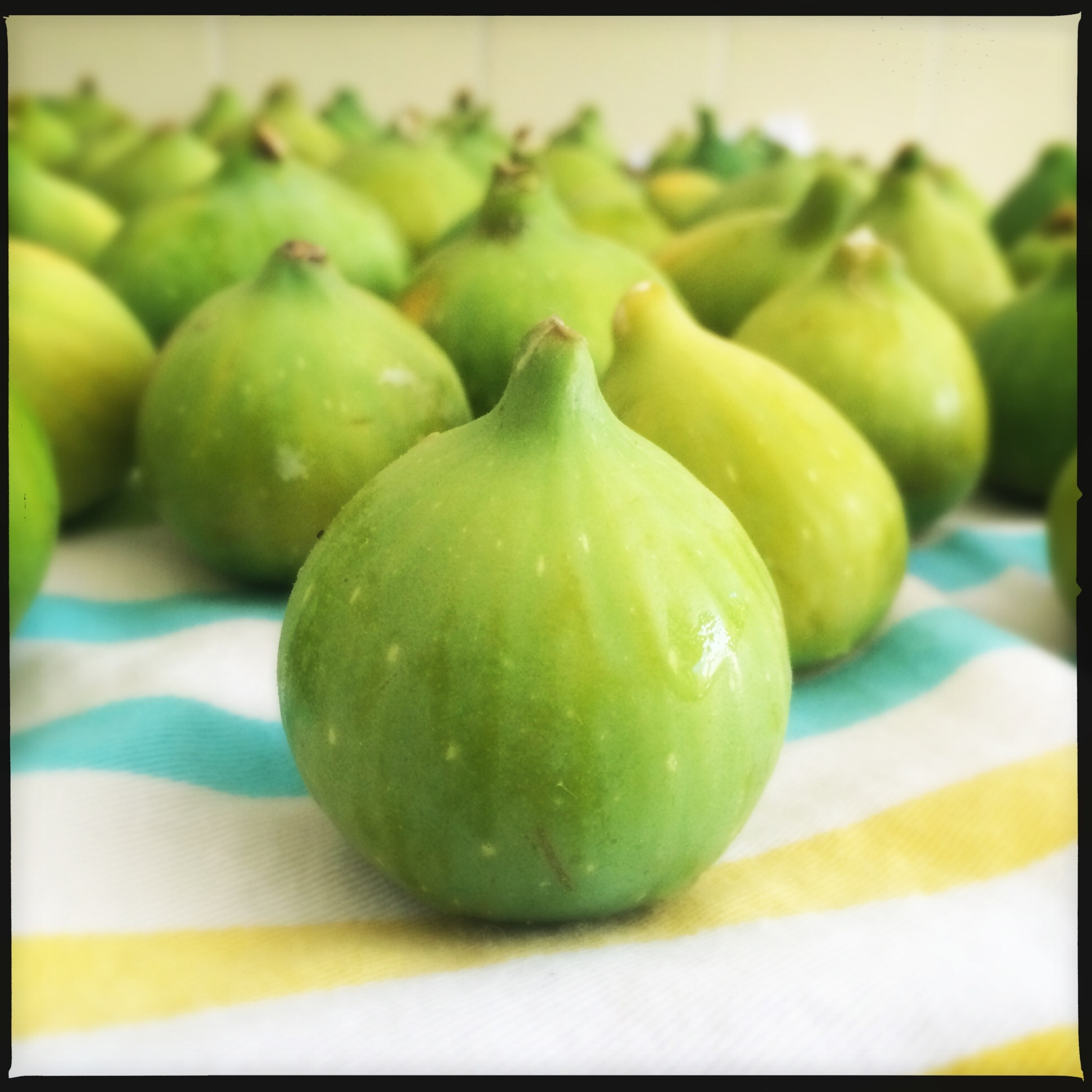 10 Great Things To Do With Fresh Figs - Only Provence