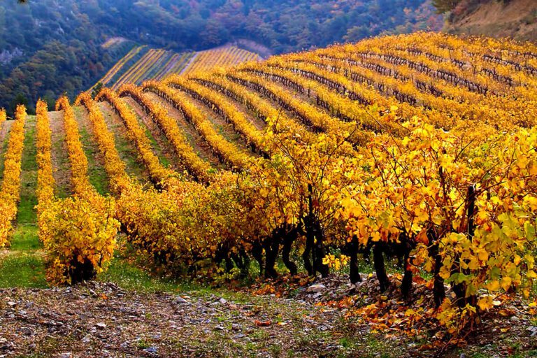 Temperatures in Provence: When to Go & What to Pack