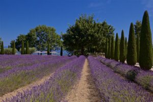 Provence, France: Travel Guide & 10 Things You'll Love