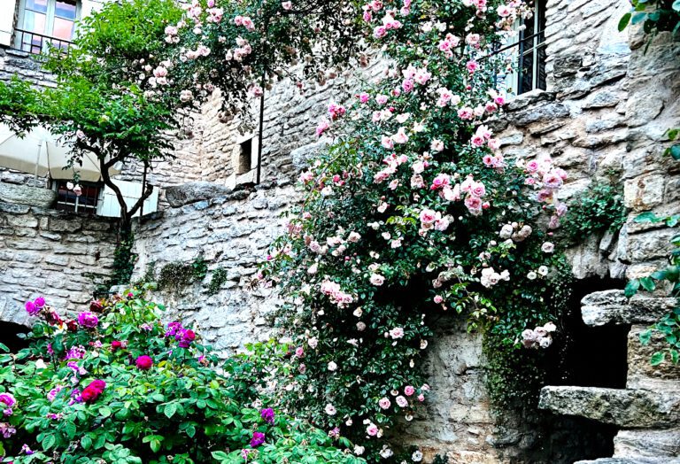 The Ultimate Guide to Visiting Goult, France — Only Provence