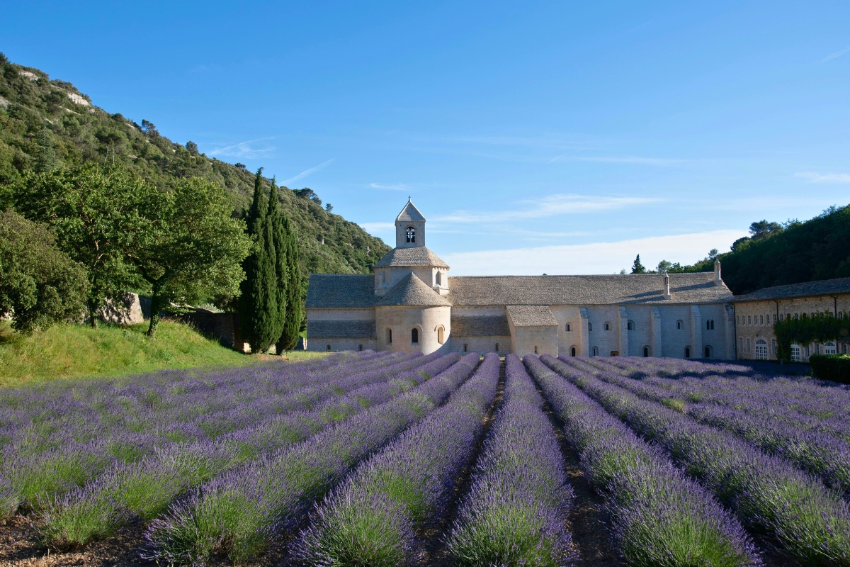 Essential Travel Tips for Visiting Provence - Only Provence